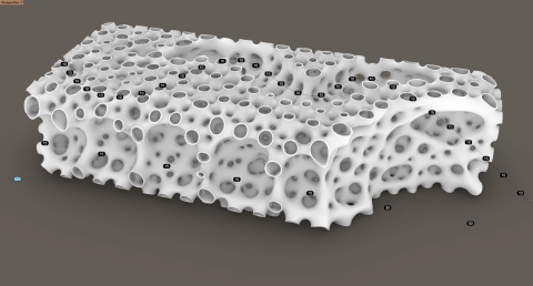 sphereneRHINO | Food4Rhino