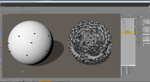 sphereneRHINO | Food4Rhino