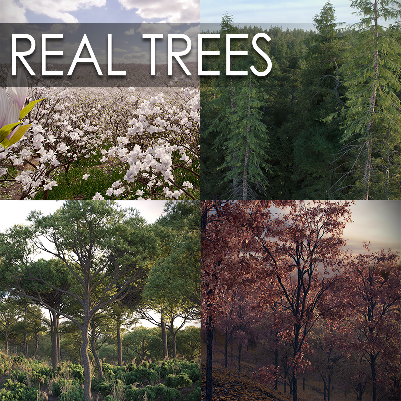 Rhino 3d Trees