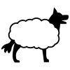Sheepdog | Food4Rhino