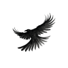 Raven | Food4Rhino